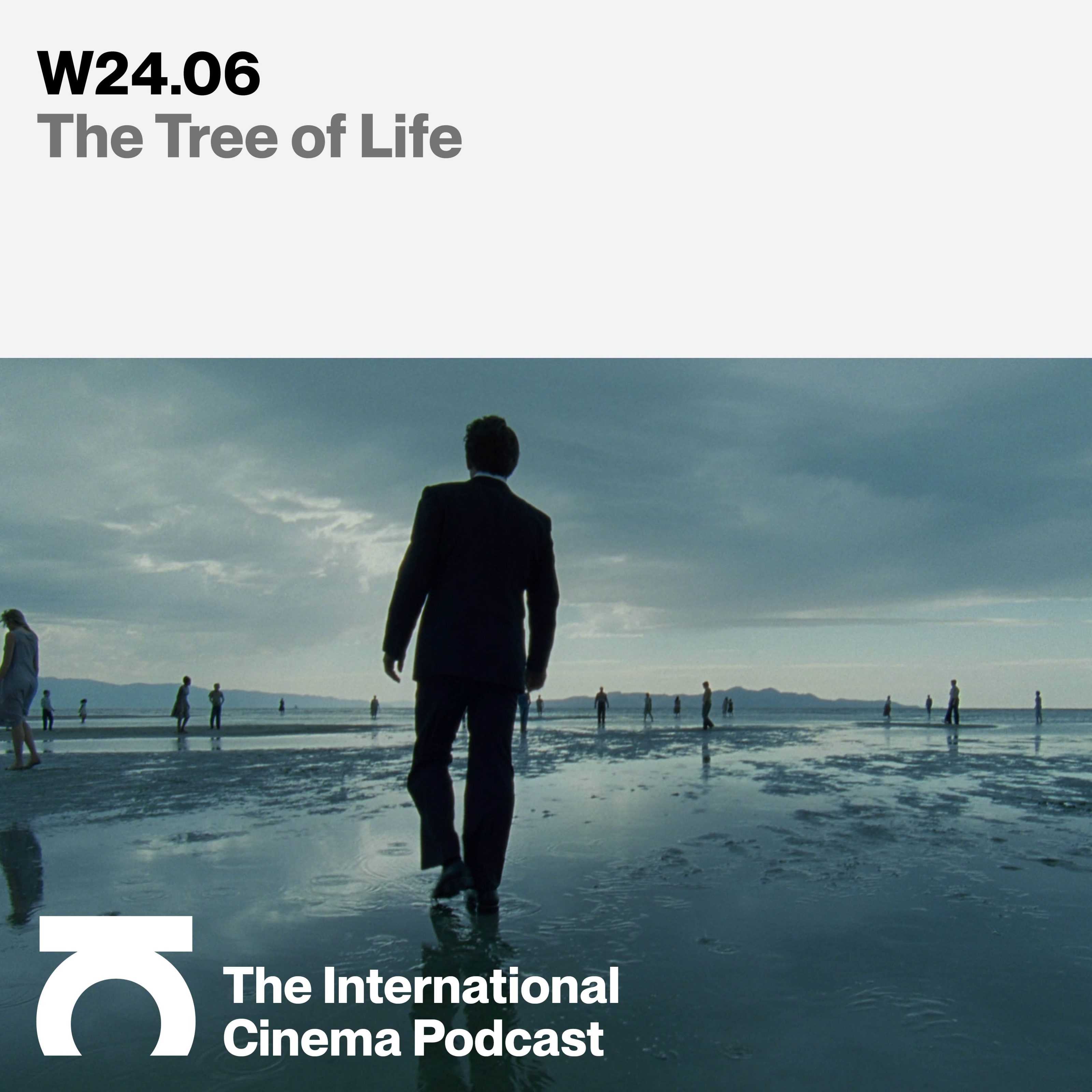 INTERNATIONAL CINEMA