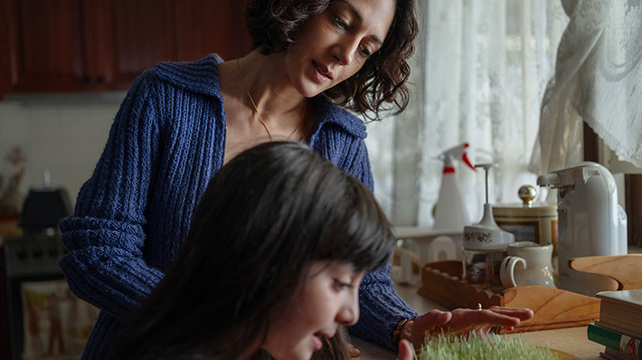 INTERNATIONAL CINEMA